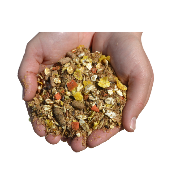 Mash aux Herbes pour tout type de chevaux CG Packaging